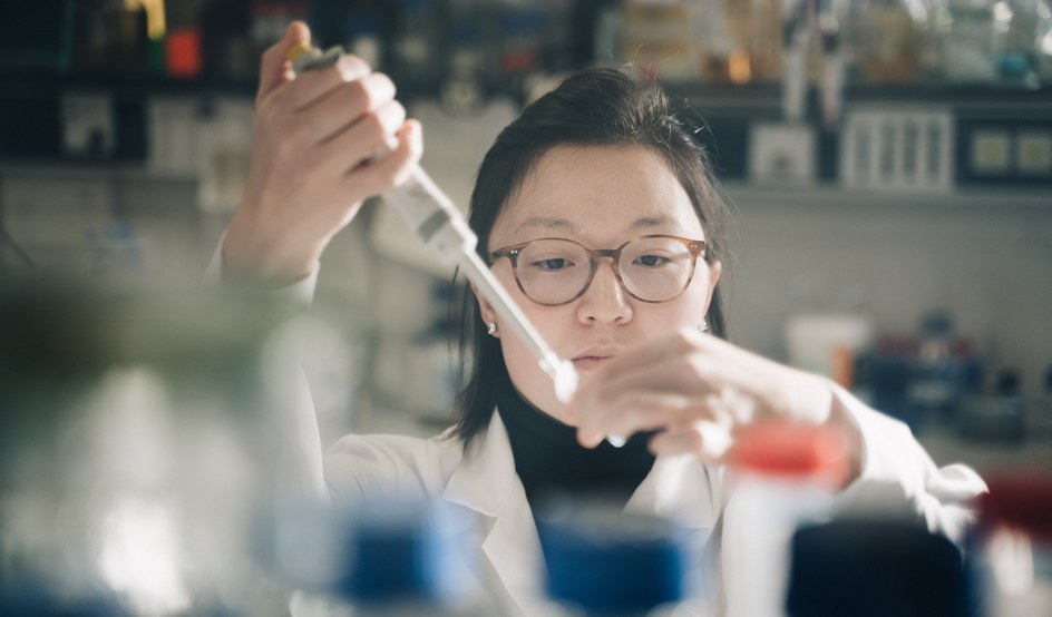 Synmikro - Center for Synthetic Microbiology - Philipps-Universität Marburg