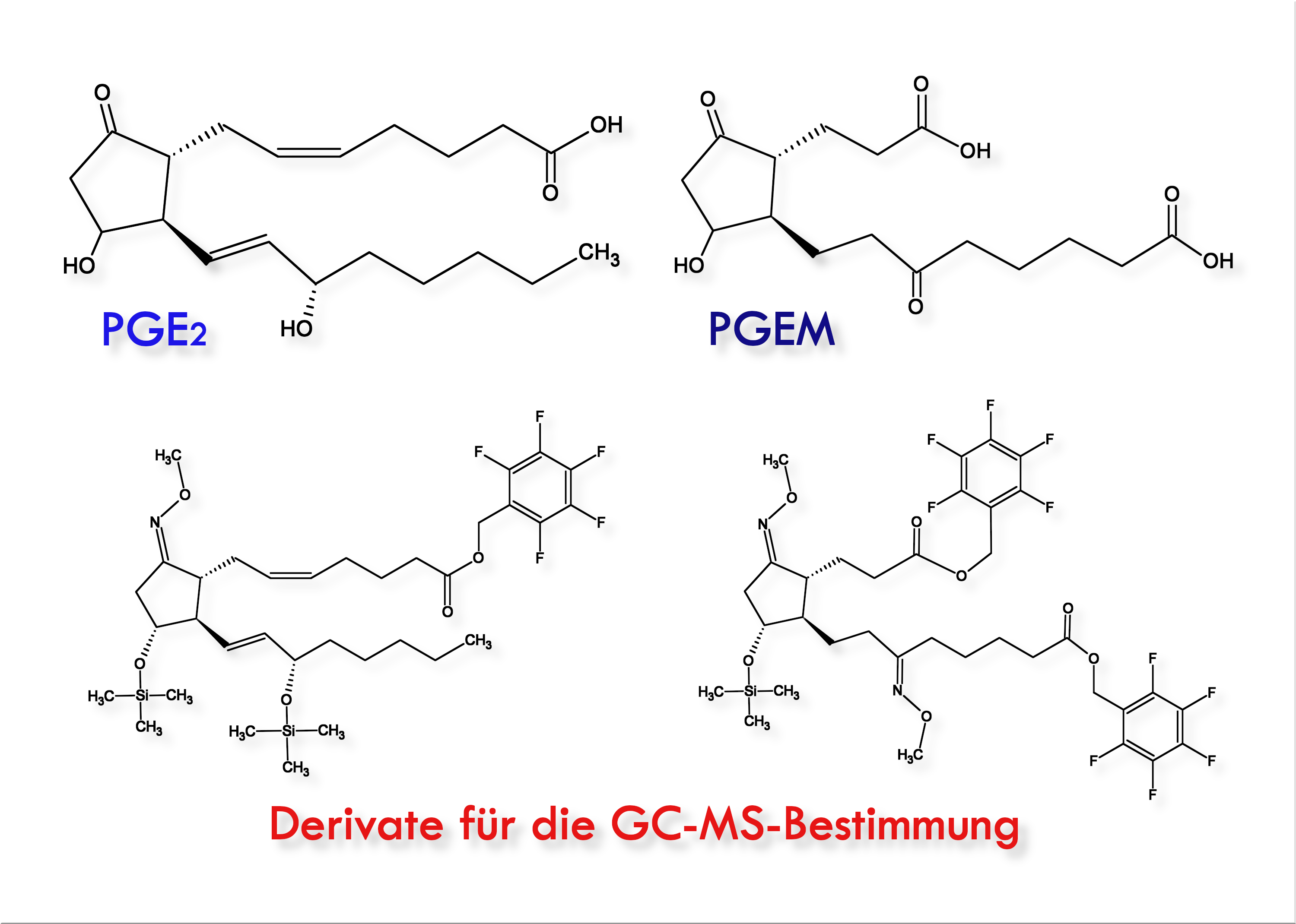 PGE2+PGEM aus URIN - Service - Medizin - Philipps-Universität Marburg