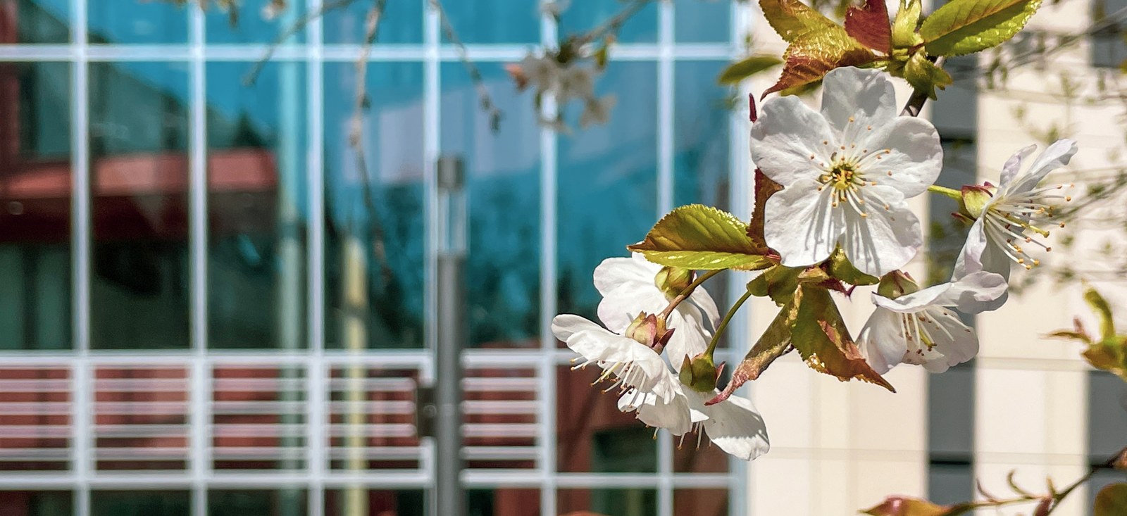 University Library - Philipps-Universität Marburg
